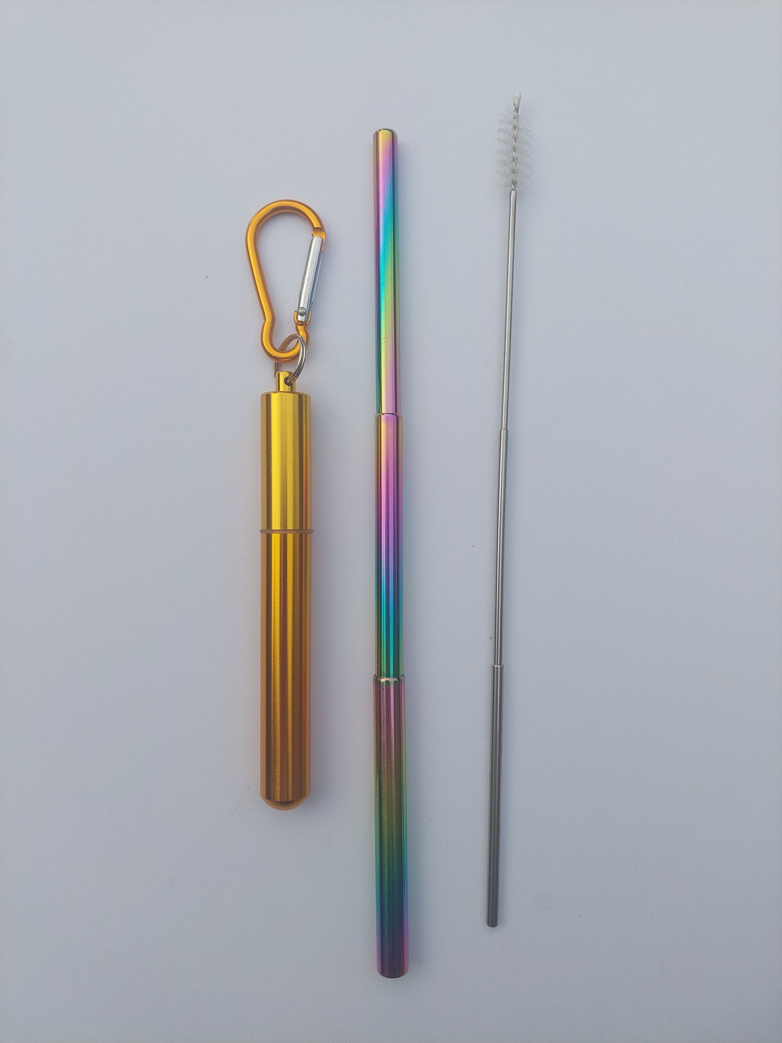 Straw keychain (Reusuable) | Intrepid Safety